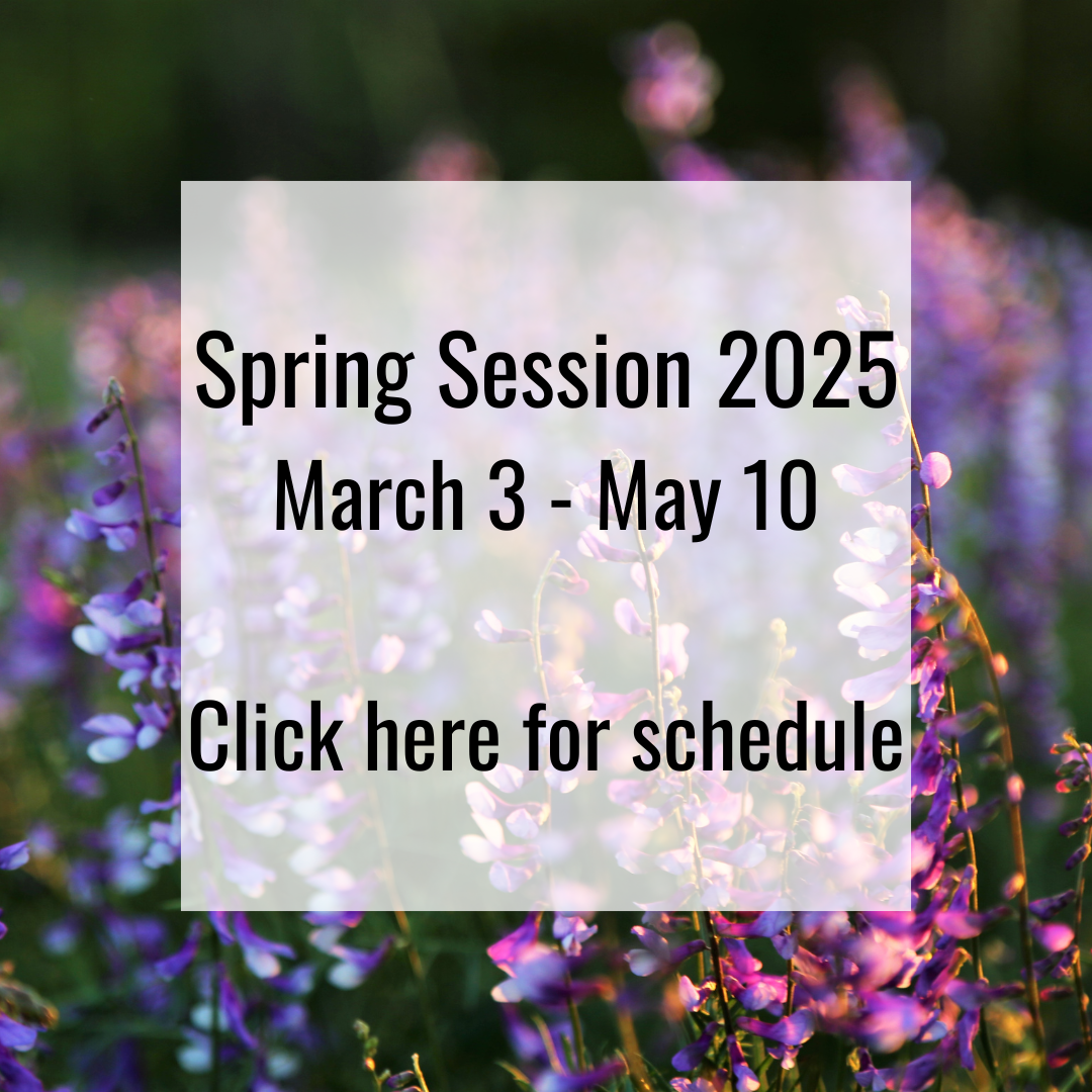 Alliance Française de Philadelphie - Adult Classes